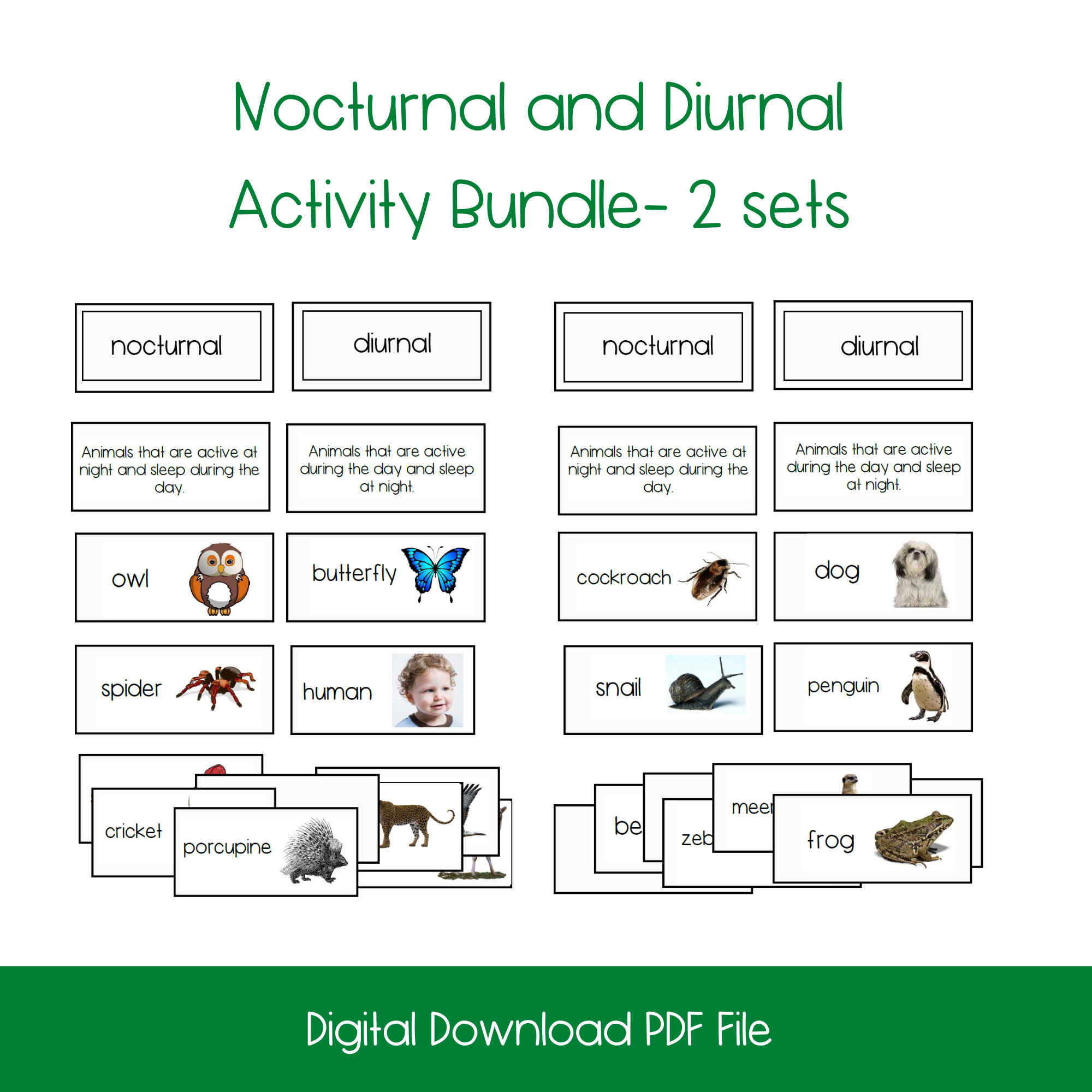 Nocturnal and Diurnal Classification/Sorting Card Set (2 Sets ...