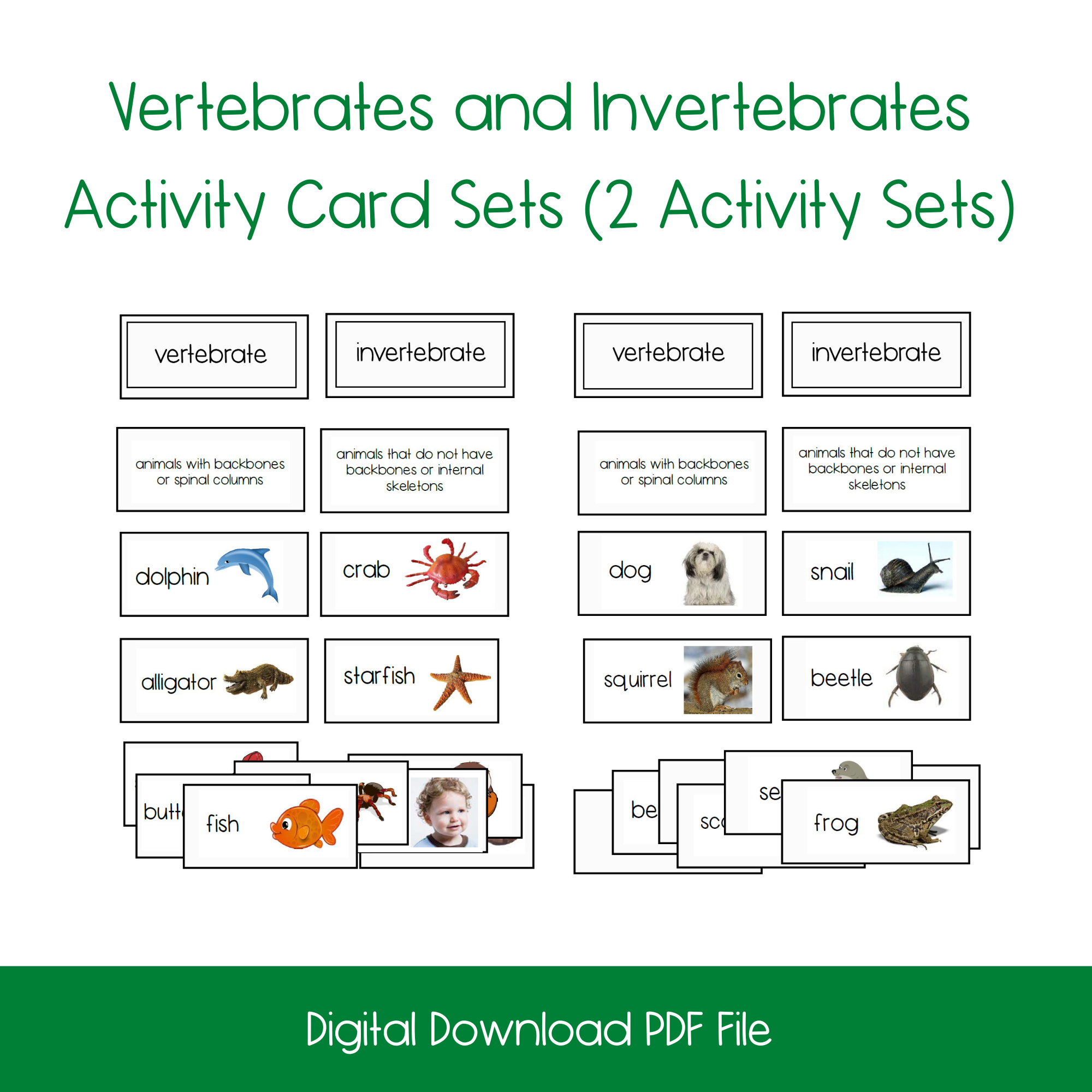 Vertebrate and Invertebrate Classification/Sorting Card Set (2 Sets ...