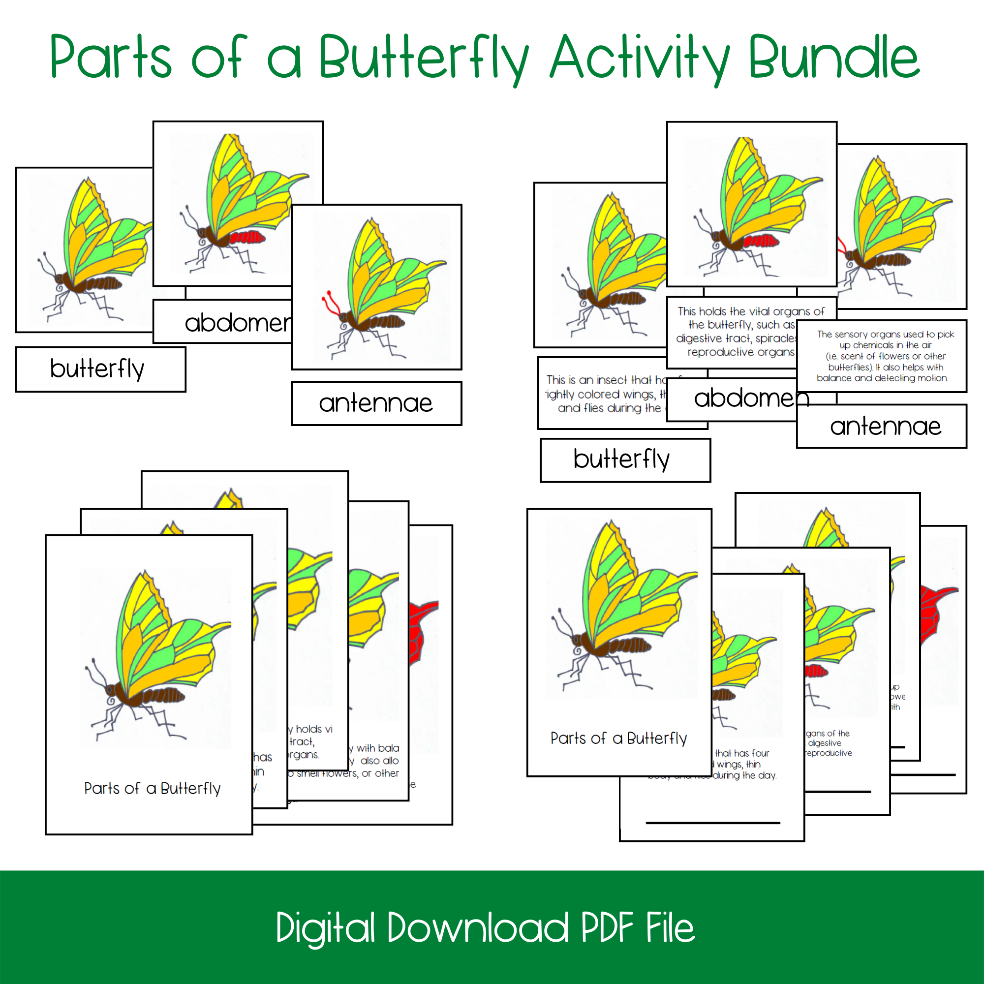 Parts of a Butterfly Activity Bundle – Montessori for Learning by ...