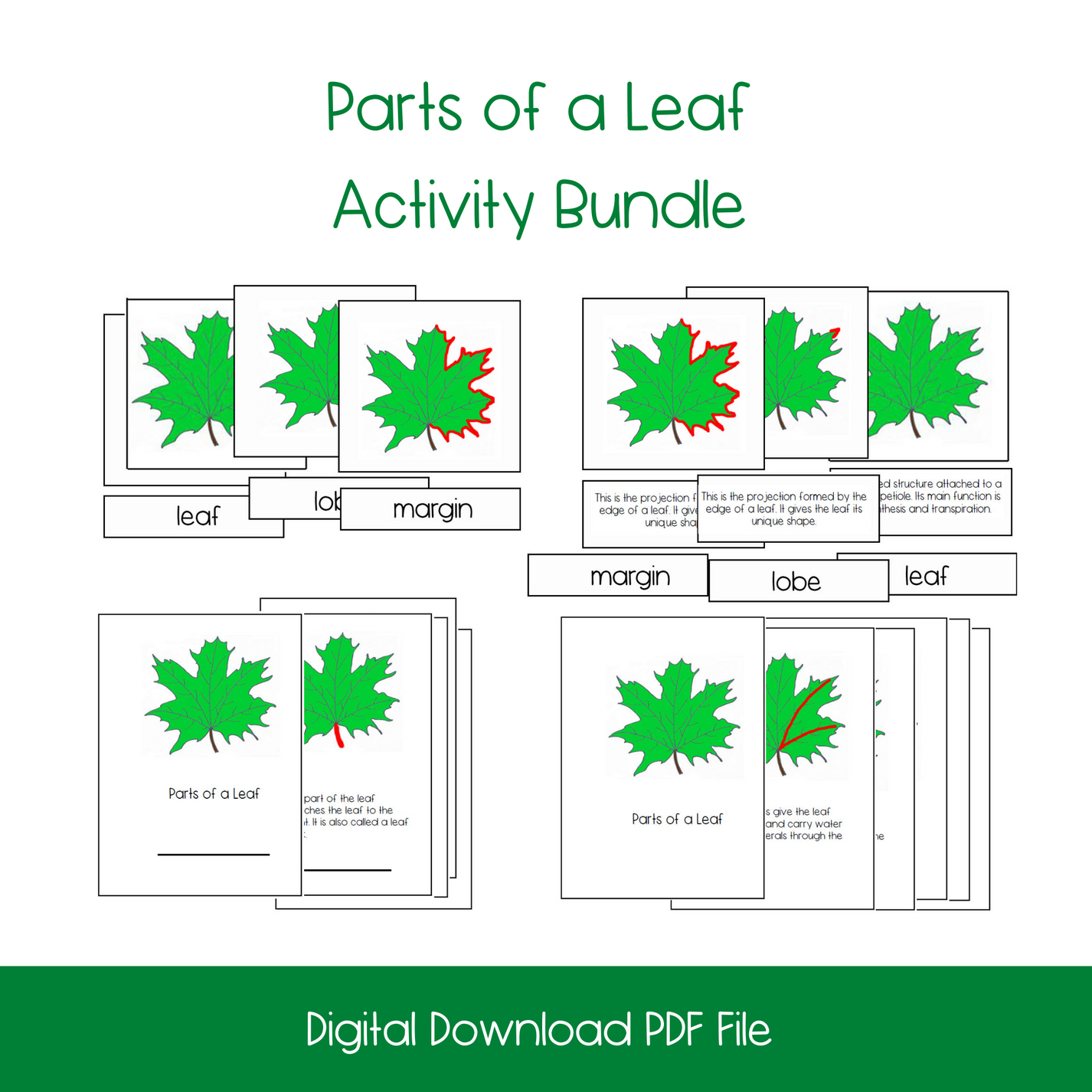 Parts of a Leaf Activity Bundle – Montessori for Learning by Insightful ...