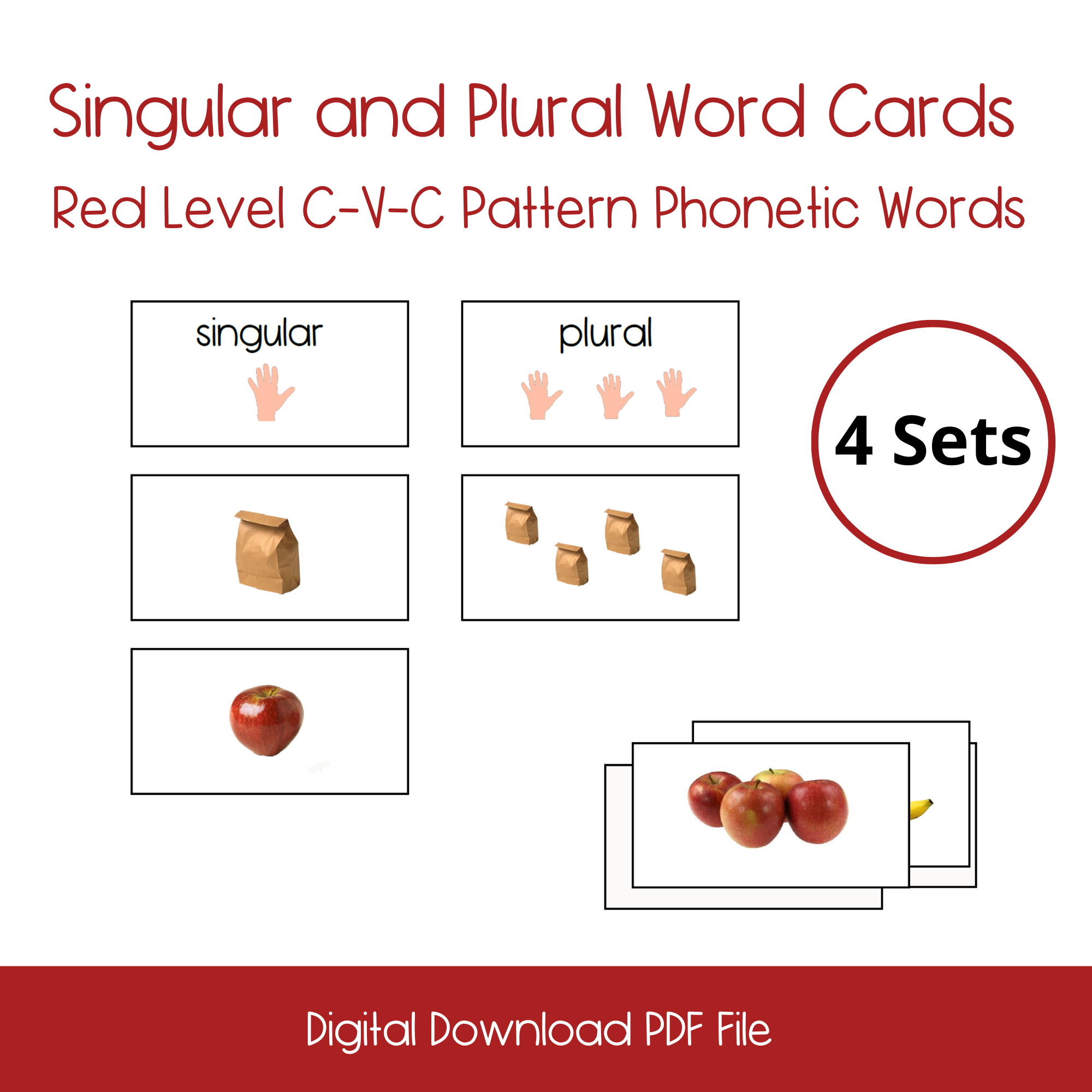 Singular and Plural Cards – Montessori for Learning by Insightful Brain