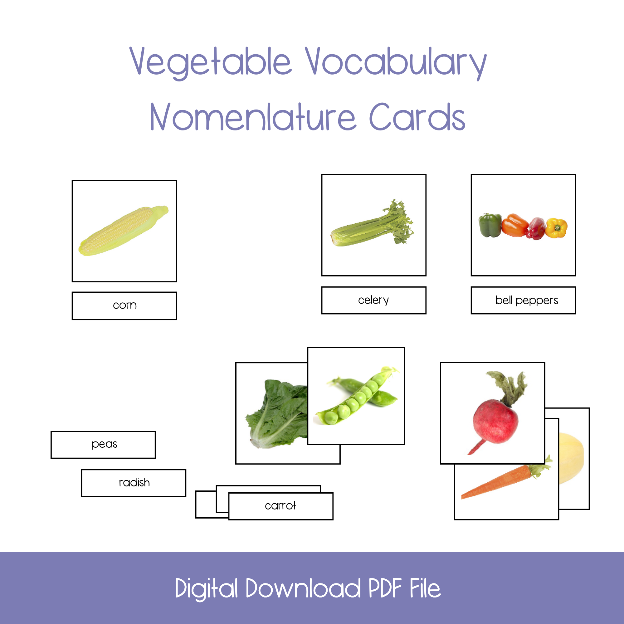 Vegetable Vocabulary Nomenclature Cards – Montessori for Learning by ...